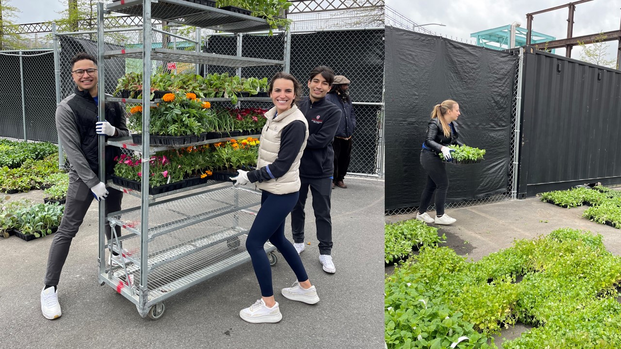 Madison International Realty Volunteers at GrowNYC’s Annual Plant Sale ...